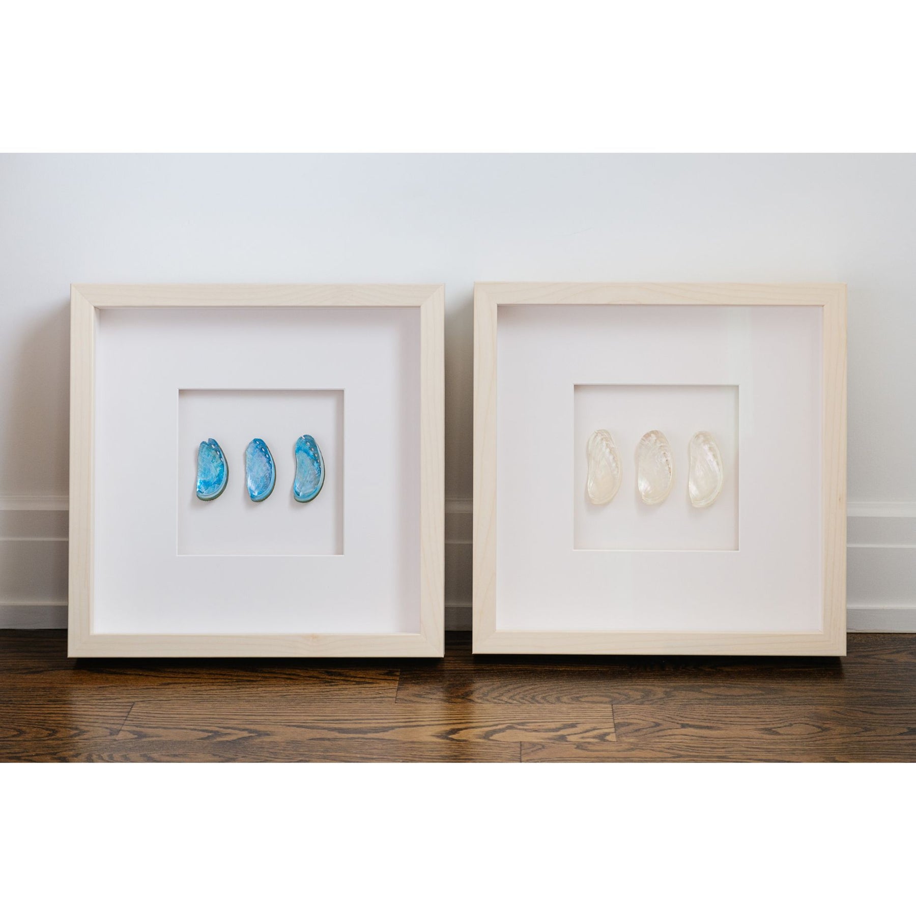 Mini Jade Abalone Shell Framed Art - Cailini Coastal