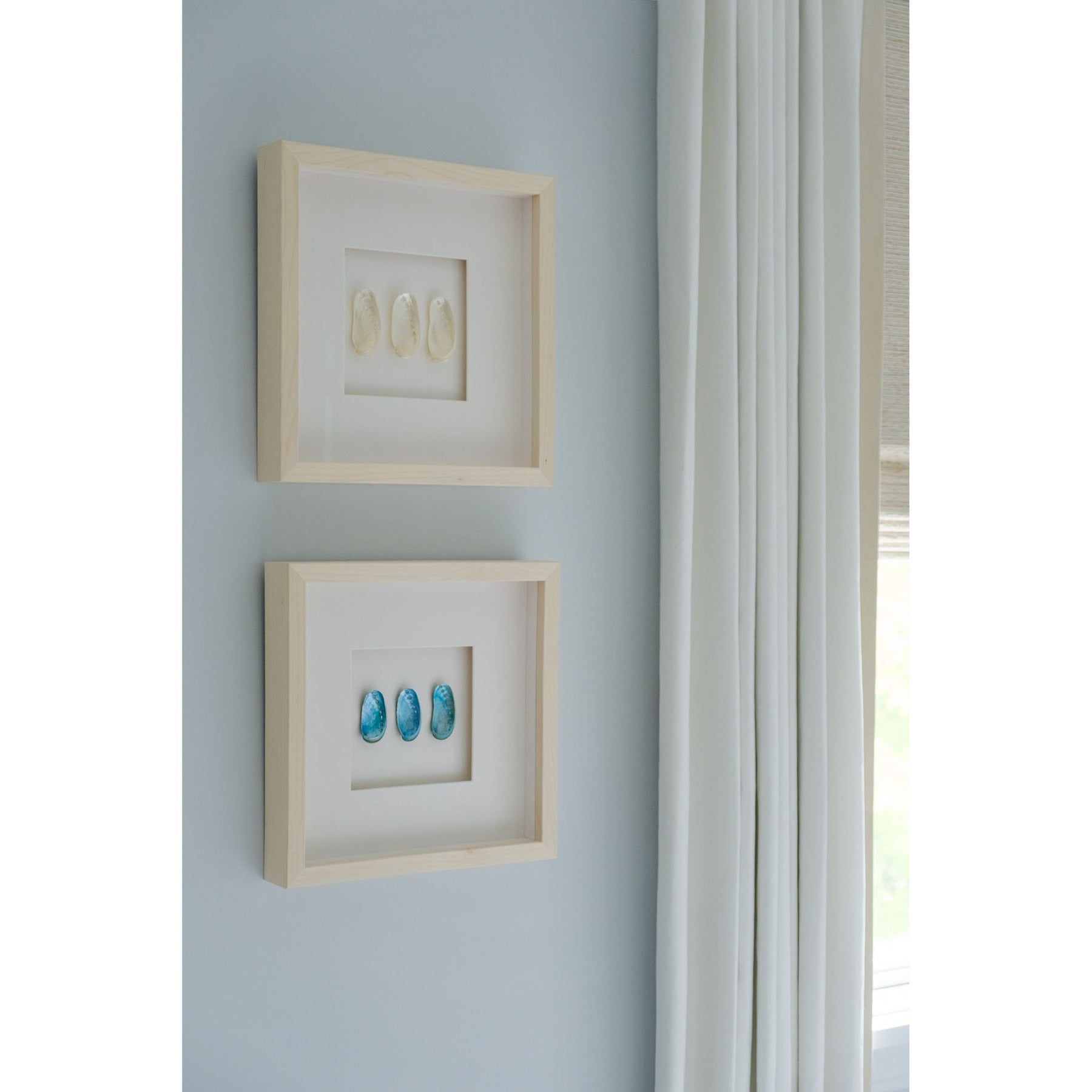 Mini Jade Abalone Shell Framed Art - Cailini Coastal