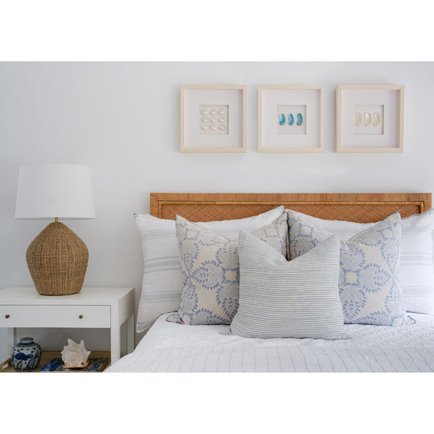 Mini Pearl Turbo Shell Framed Art - 16" H x 16" W – Cailini Coastal