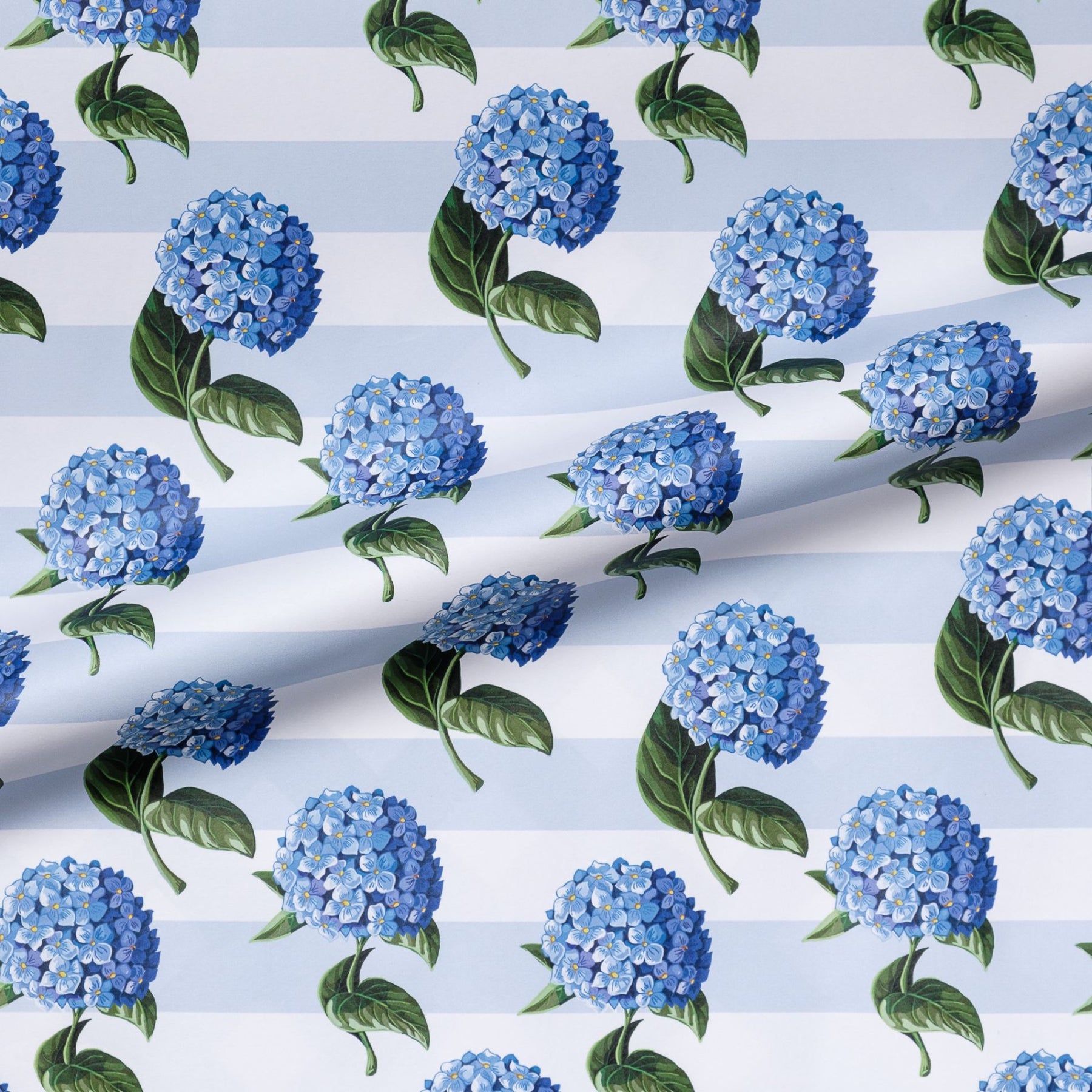 Hydrangea Collection – Cailini Coastal