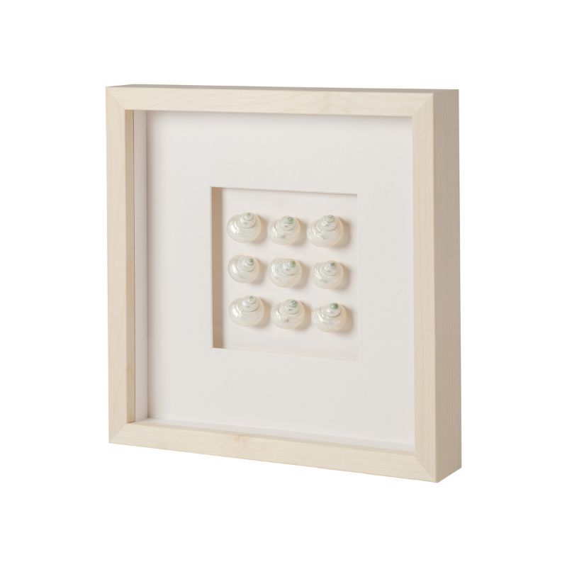 Mini Pearl Turbo Shell Framed Art - 16" H x 16" W – Cailini Coastal