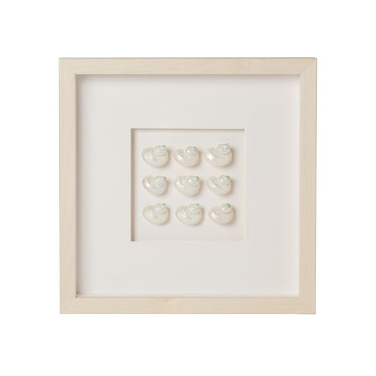 Mini Pearl Turbo Shell Framed Art - 16" H x 16" W – Cailini Coastal