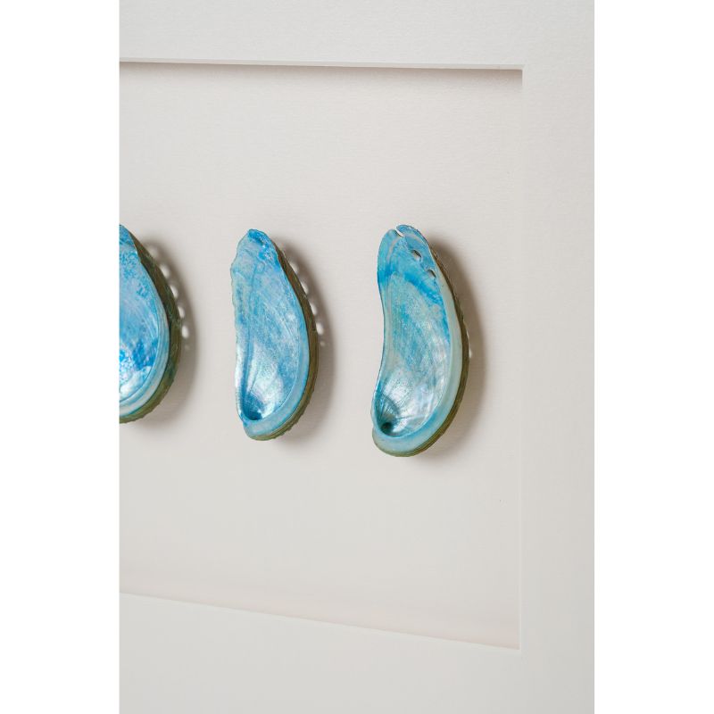 Mini Jade Abalone Shell Framed Art - Cailini Coastal