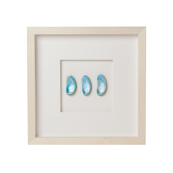 Mini Jade Abalone Shell Framed Art - Cailini Coastal