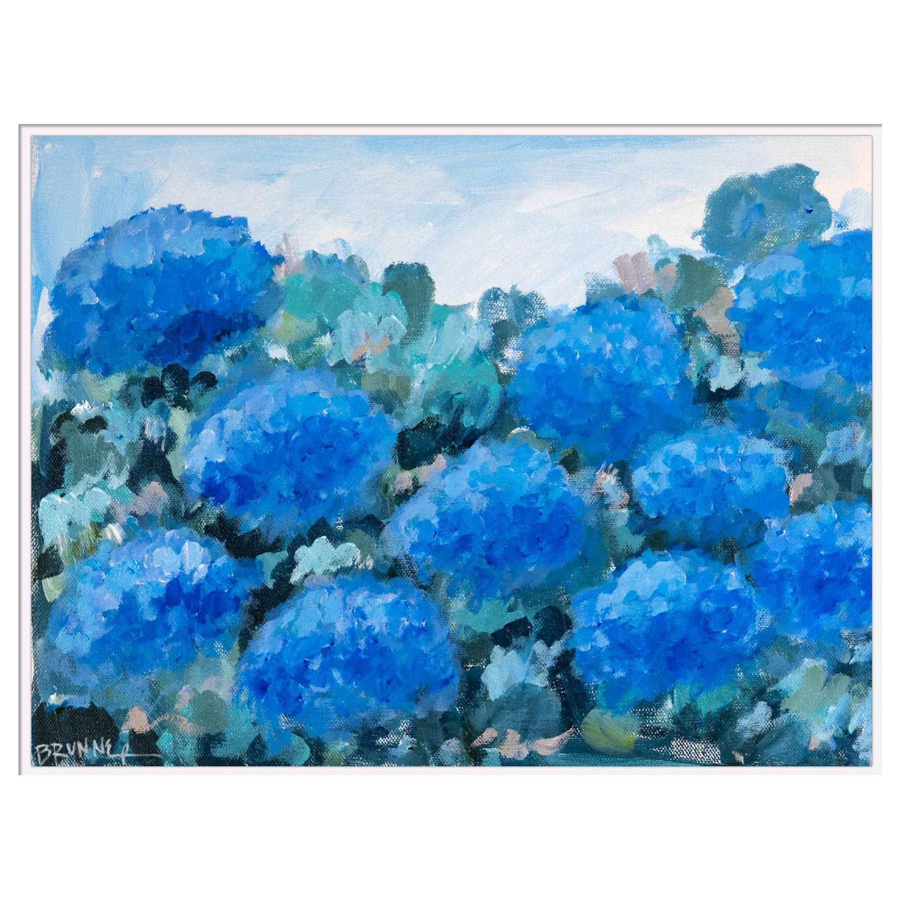 Hydrangea Collection – Cailini Coastal