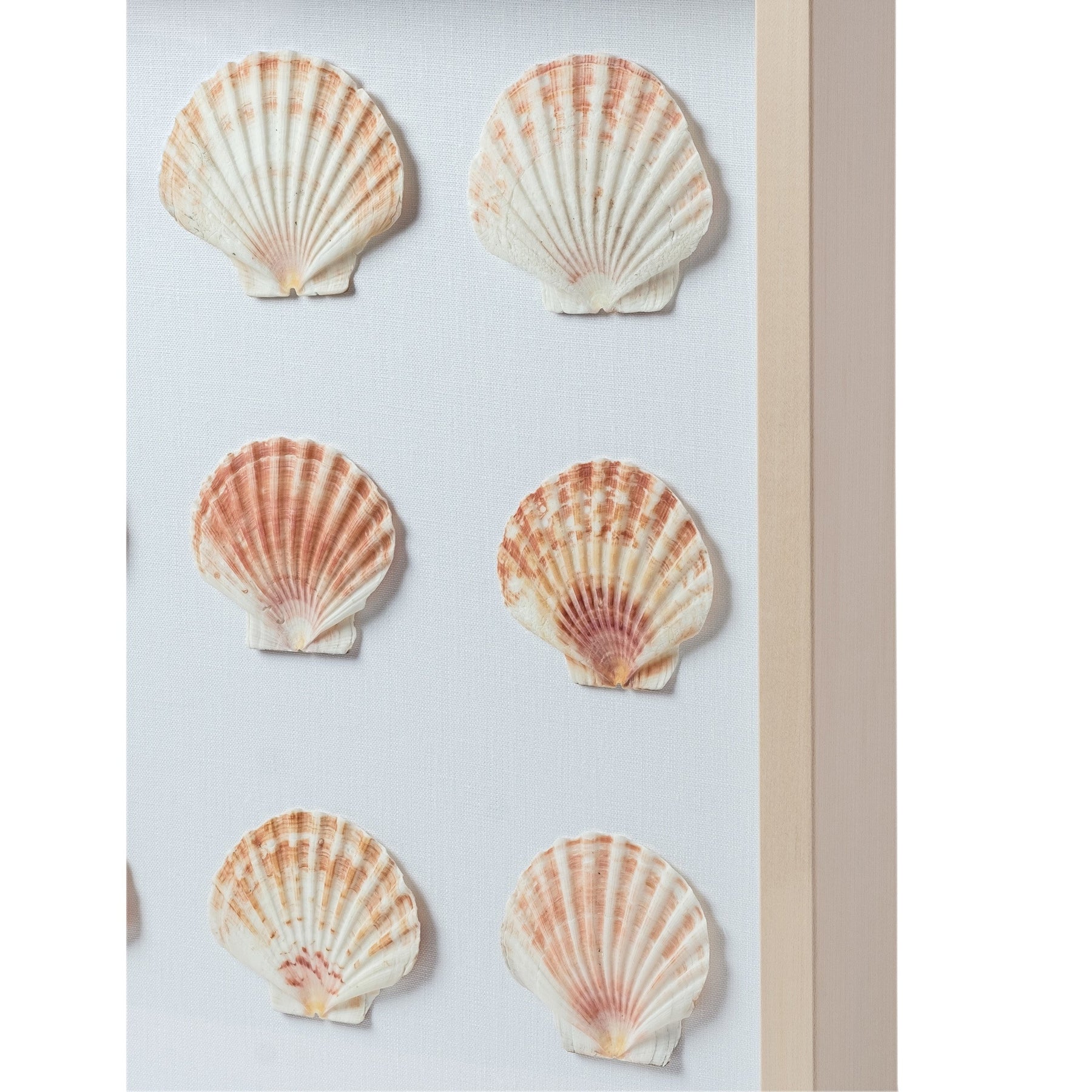 Coastal Home & Nautical/Beach Décor – Cailíní Coastal – Cailini Coastal