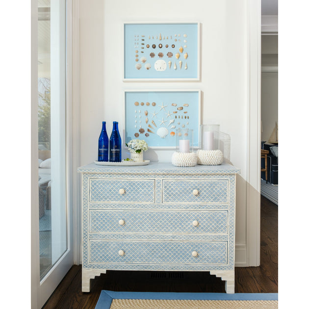 Bespoke Shell Study Framed Art II - Light Blue – Cailini Coastal