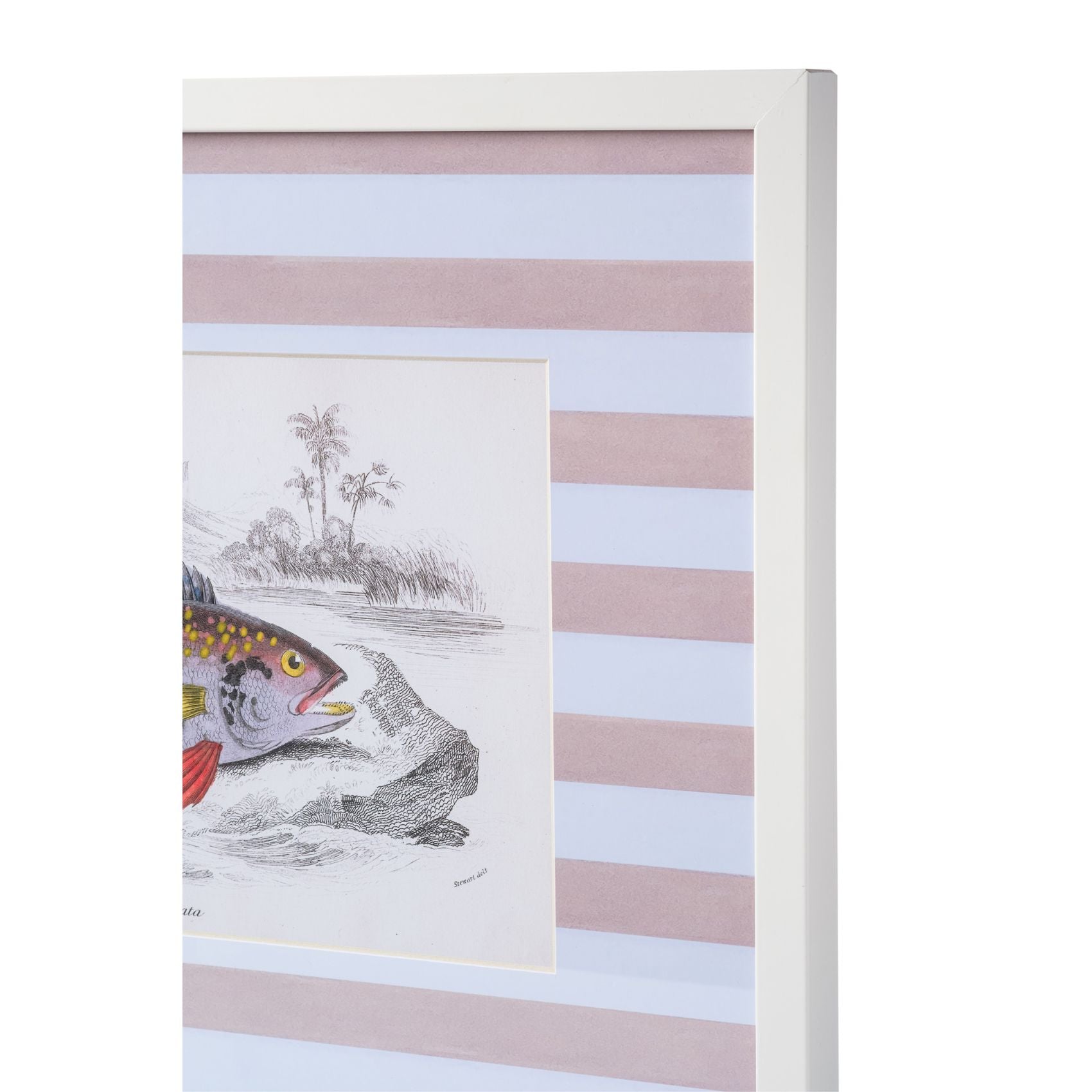 Marine Life Art – Cailini Coastal