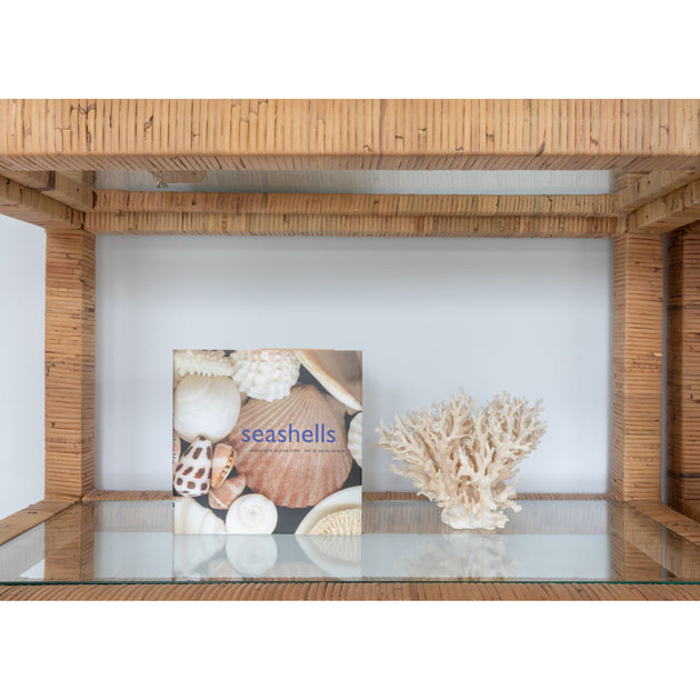 Seashells - Coastal Coffee Table Book – Cailini Coastal