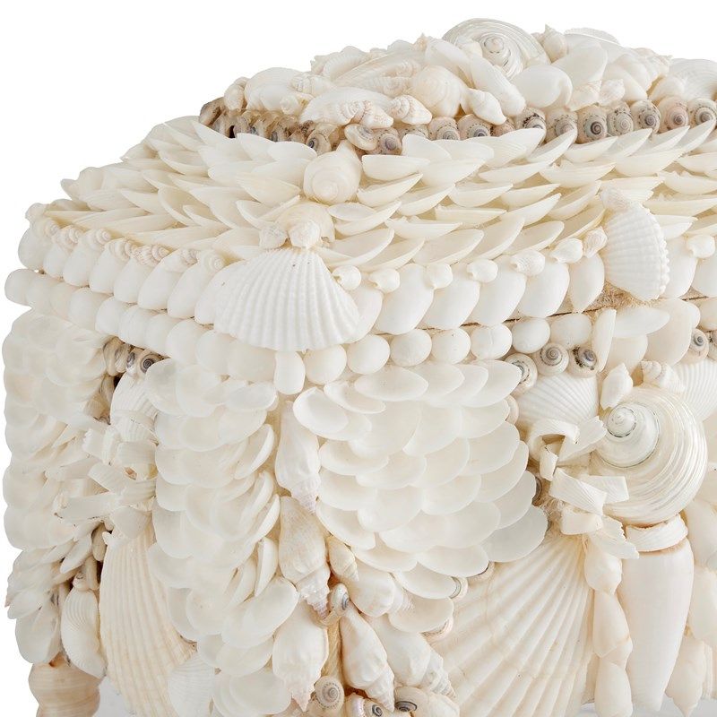 White Shell Jewel Box - Seashell Box – Cailini Coastal