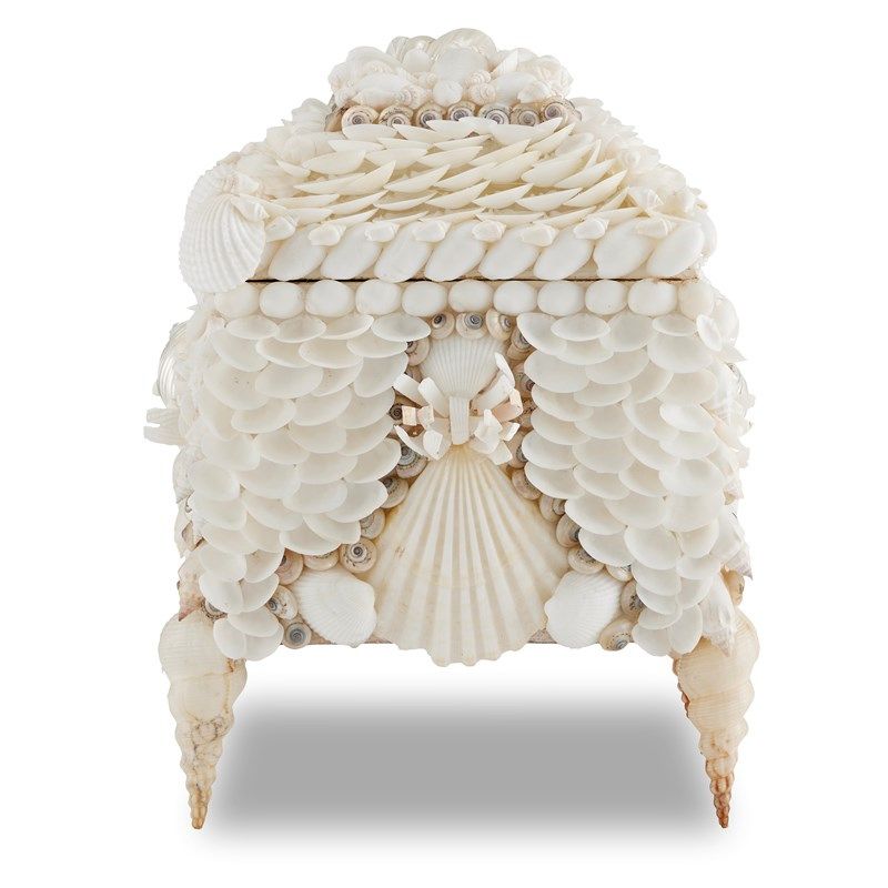 White Shell Jewel Box - Seashell Box – Cailini Coastal