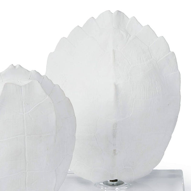 Decorative Faux White Turtle Shell Set - Cailini Coastal