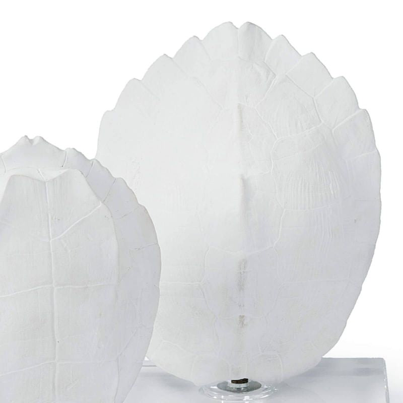 Decorative Faux White Turtle Shell Set - Cailini Coastal