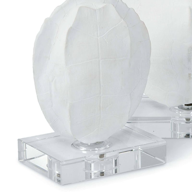 Decorative Faux White Turtle Shell Set - Cailini Coastal