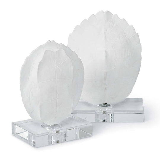 Decorative Faux White Turtle Shell Set - Cailini Coastal