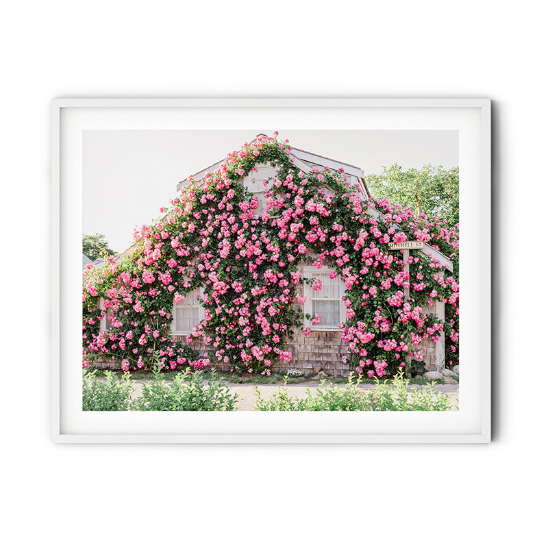 Pink Rose Covered Cottage Print - Cailini Coastal